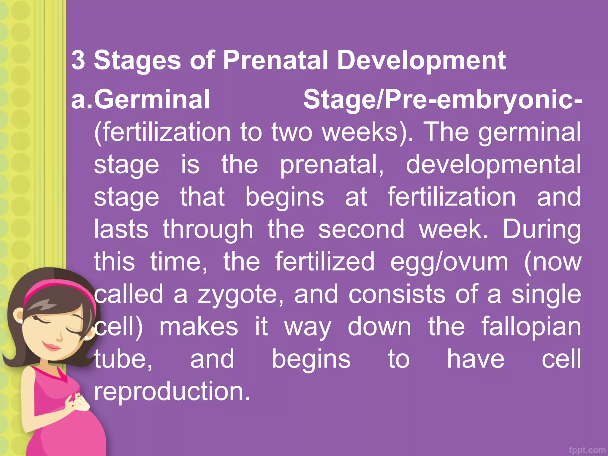 Stages of life | PPT