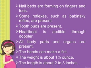 Stages of life | PPT