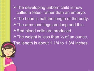 Stages of life | PPT