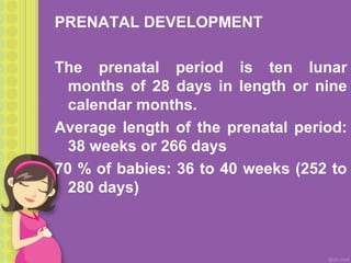 Stages of life | PPT