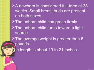 Stages of life | PPT