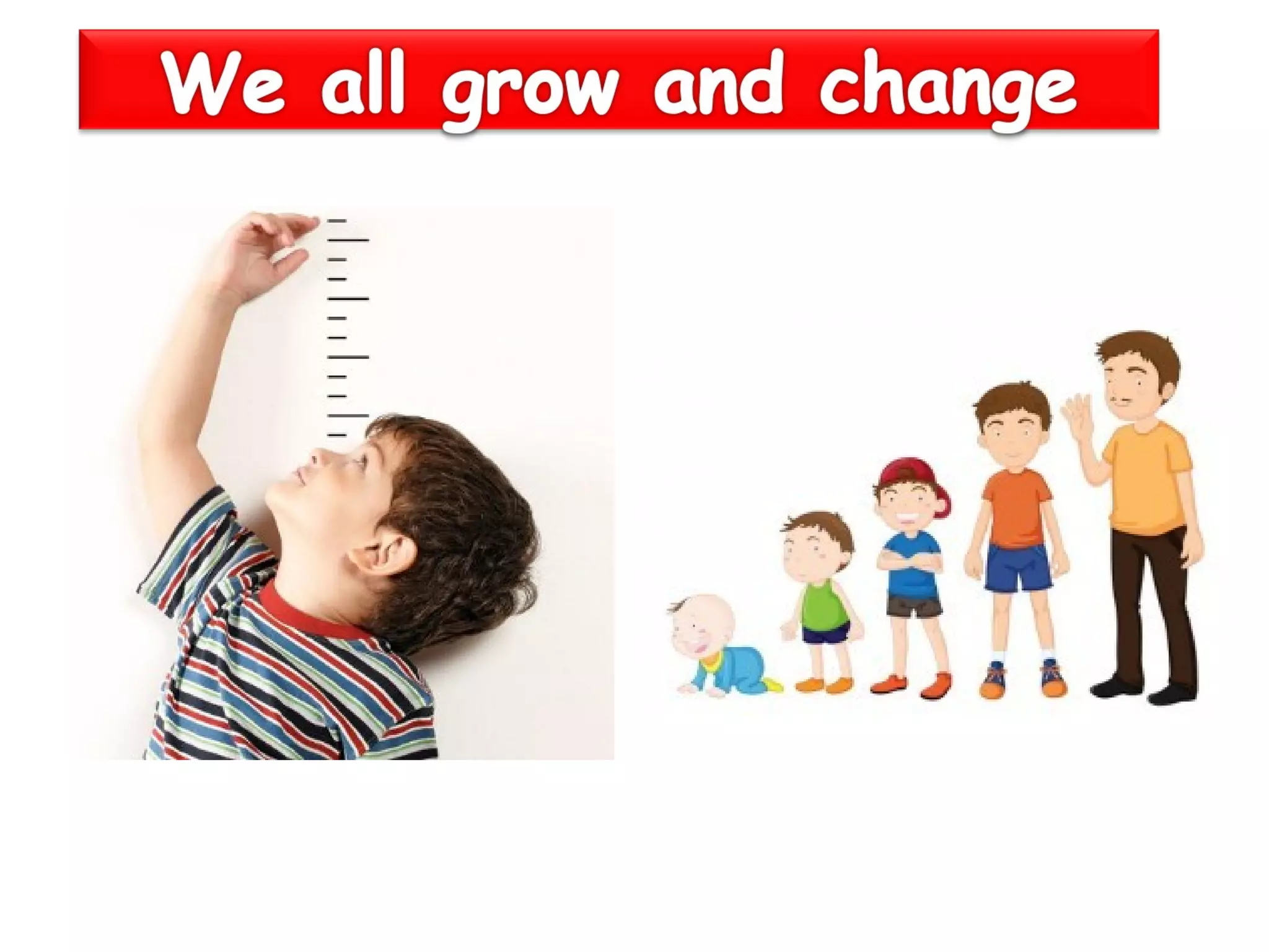 Stages of life | PPT