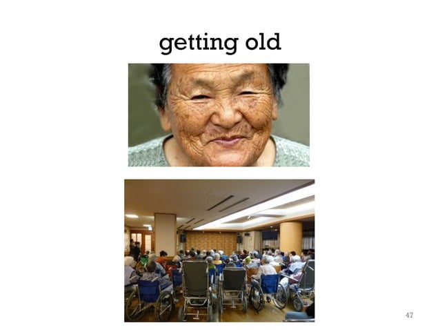 Japanese Life Cycle Rituals | PDF