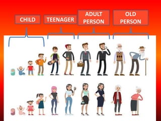 Stages of life | PPTX
