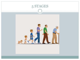 Stages of life 3rd primary | PPT