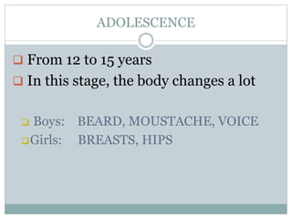 Stages of life 3rd primary | PPT