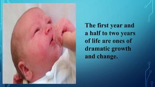 STAGES OF LIFE | PPTX