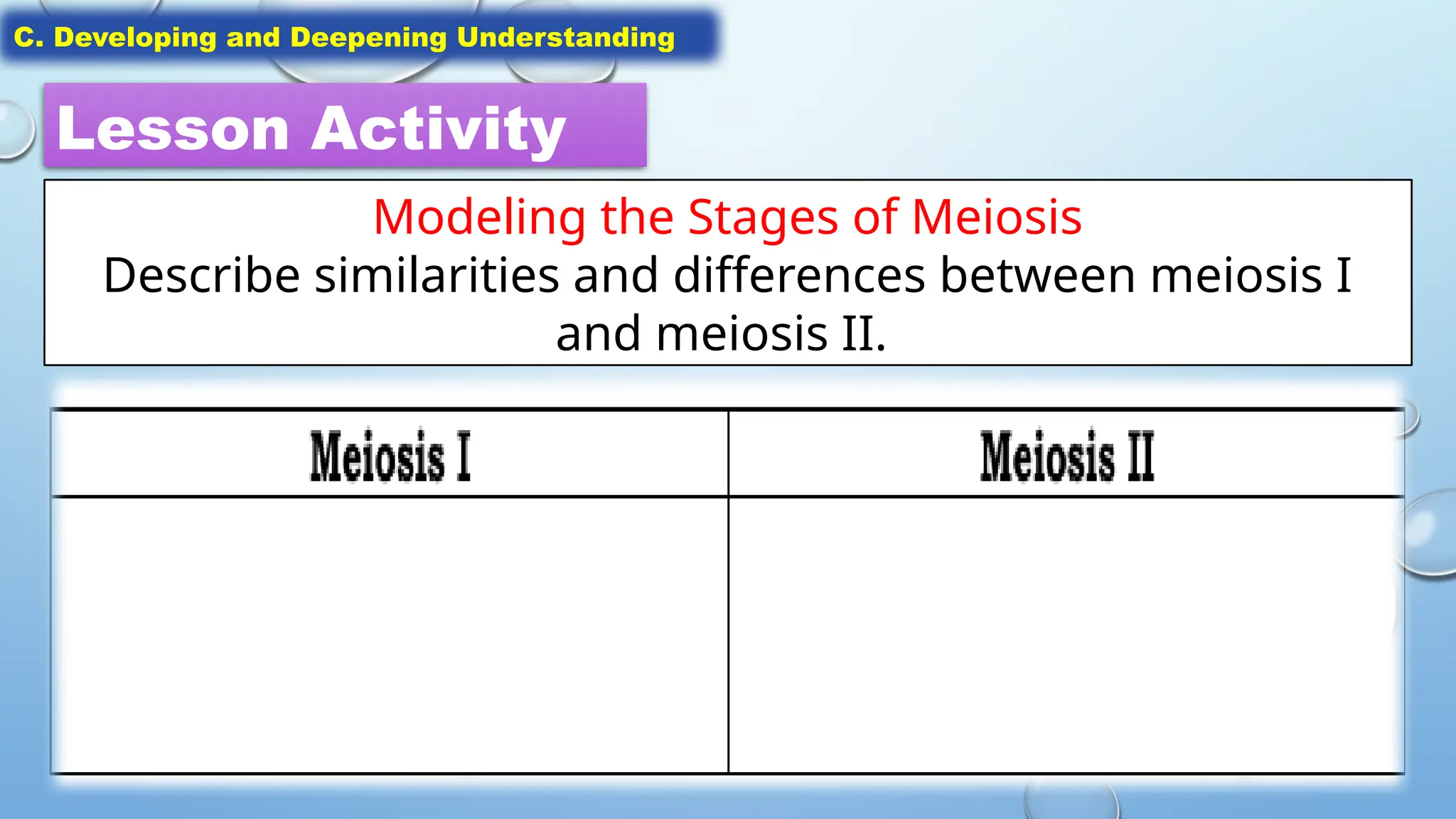Cell Division - Stages of Meiosis and Mitosis .pptx