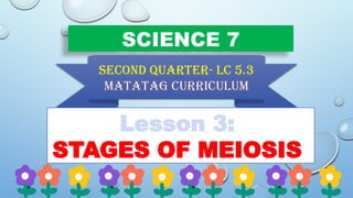 Cell Division - Stages of Meiosis and Mitosis .pptx
