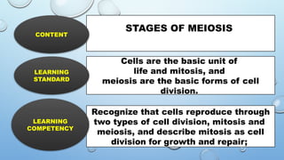 Cell Division - Stages of Meiosis and Mitosis .pptx