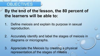 Cell Division - Stages of Meiosis and Mitosis .pptx