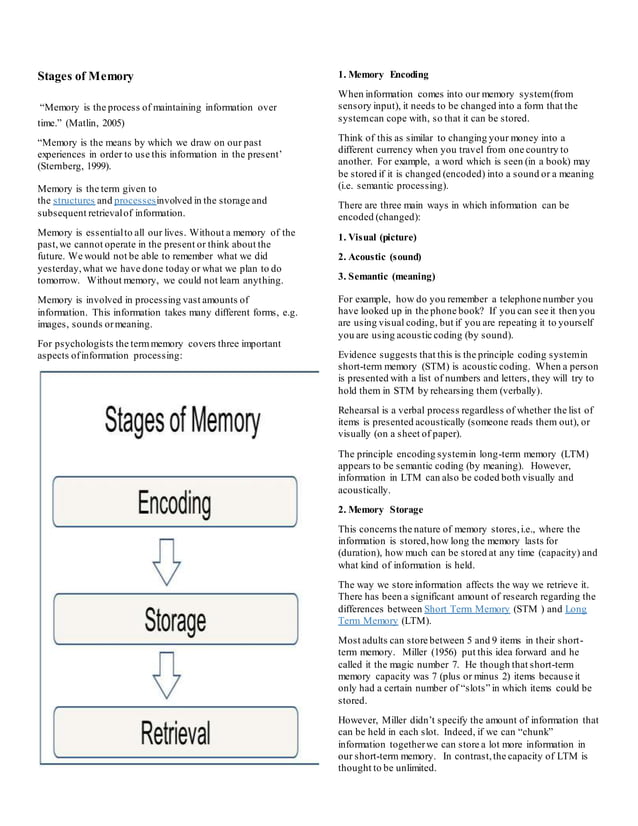 Stages of memory | DOCX