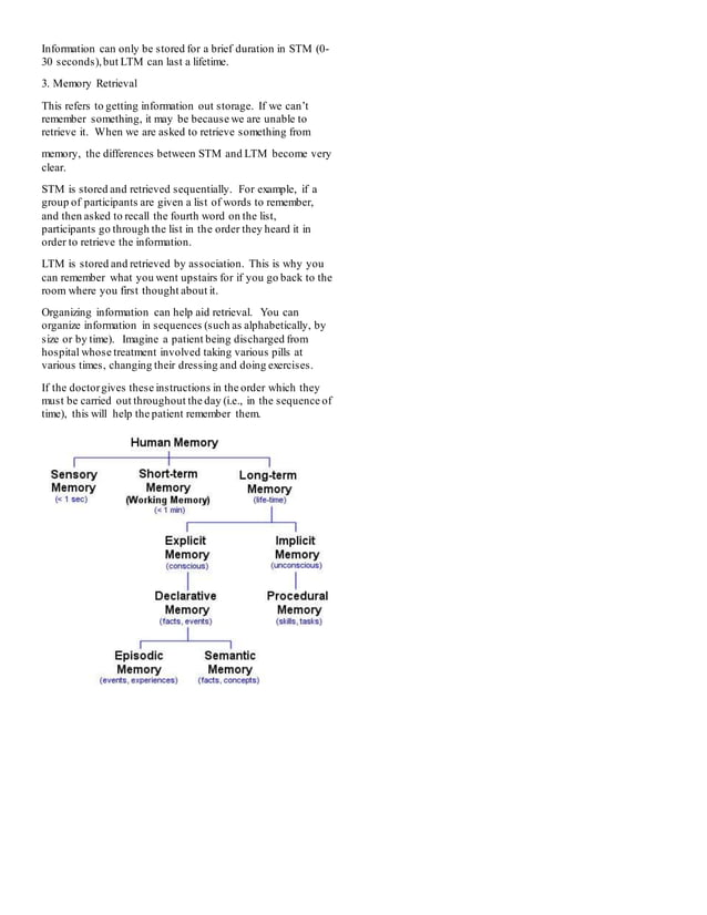 Stages of memory | DOCX