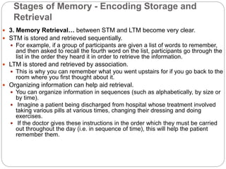Stages of memory encoding storage and retrieval | PPTX