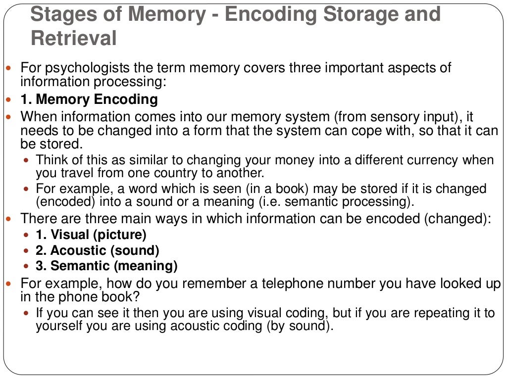 Stages Of Memory Encoding Storage And Retrieval