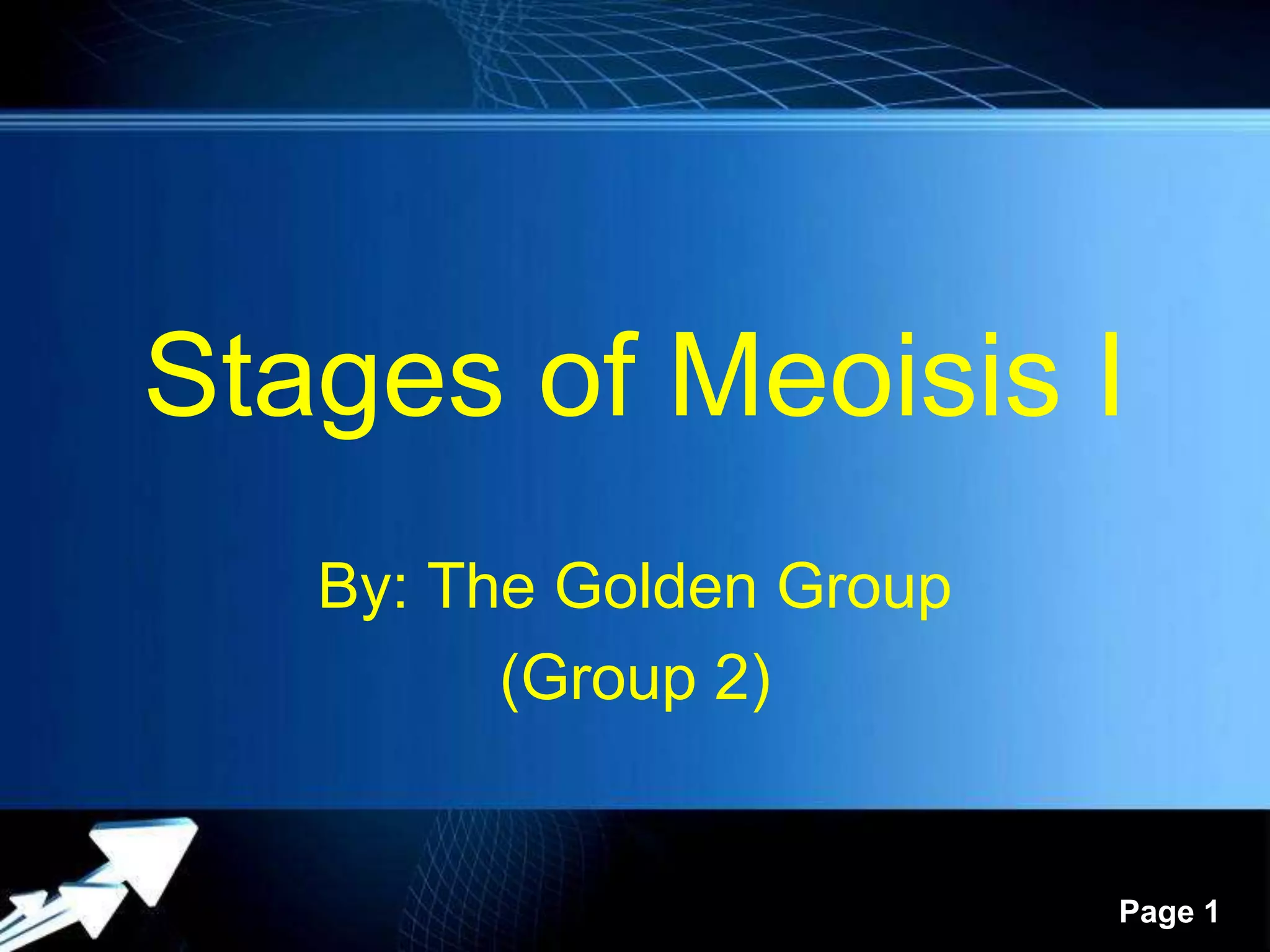 Stages of meoisis i (1) | PPTX