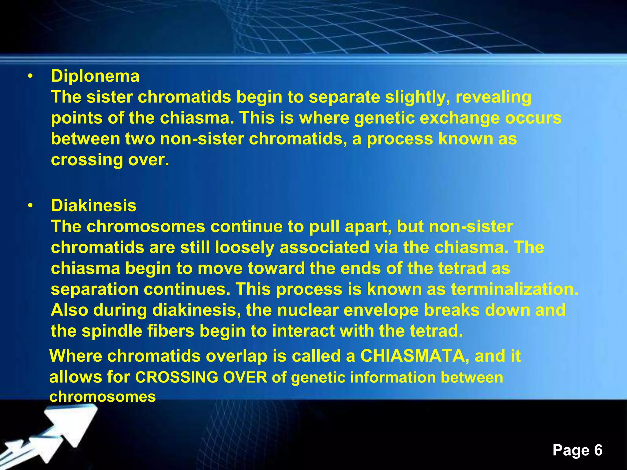 Stages of meoisis i (1) | PPTX