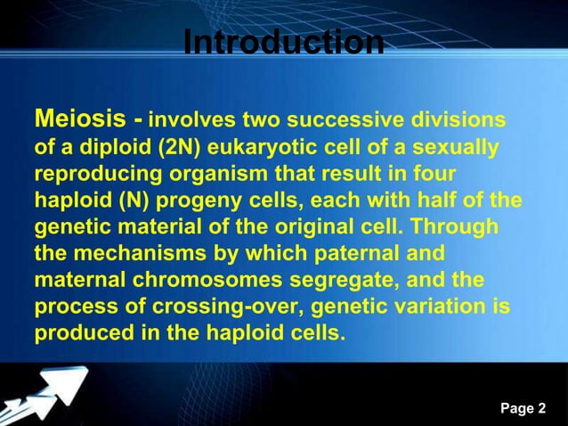 Stages of meoisis i (1) | PPTX