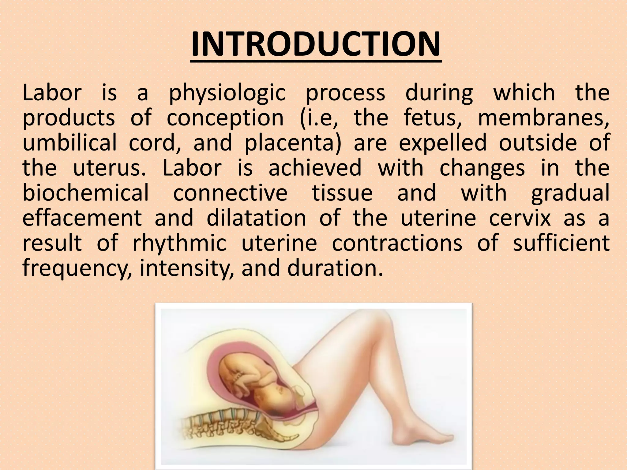 Stages of Normal Labor- easy explanation | PDF