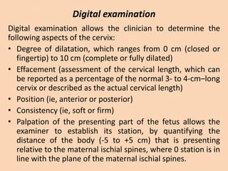 Stages of Normal Labor- easy explanation | PDF