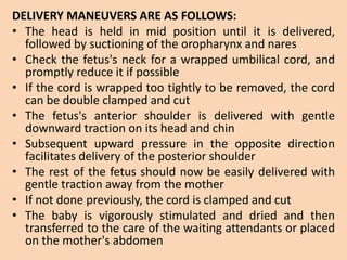 Stages of Normal Labor- easy explanation | PDF