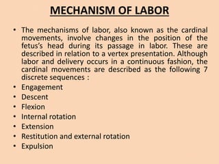 Stages of Normal Labor- easy explanation | PDF
