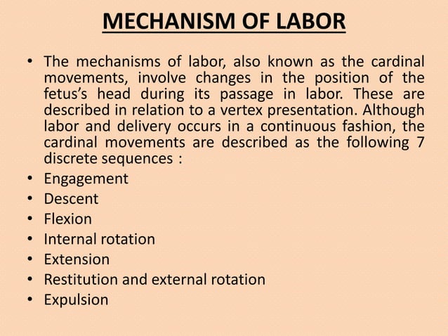 Stages of Normal Labor- easy explanation | PDF