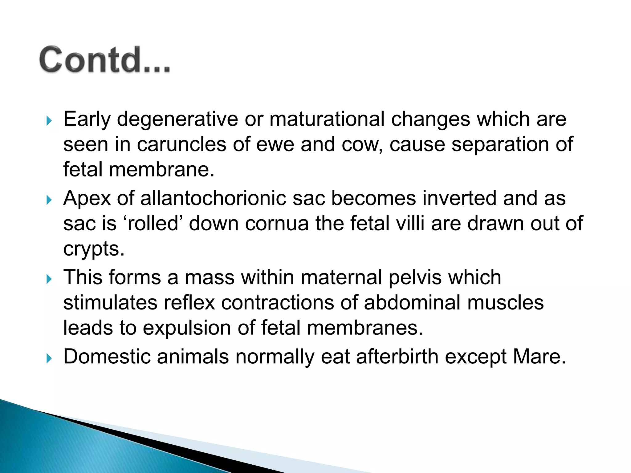 Stages of parturition in farm animals. | PPTX