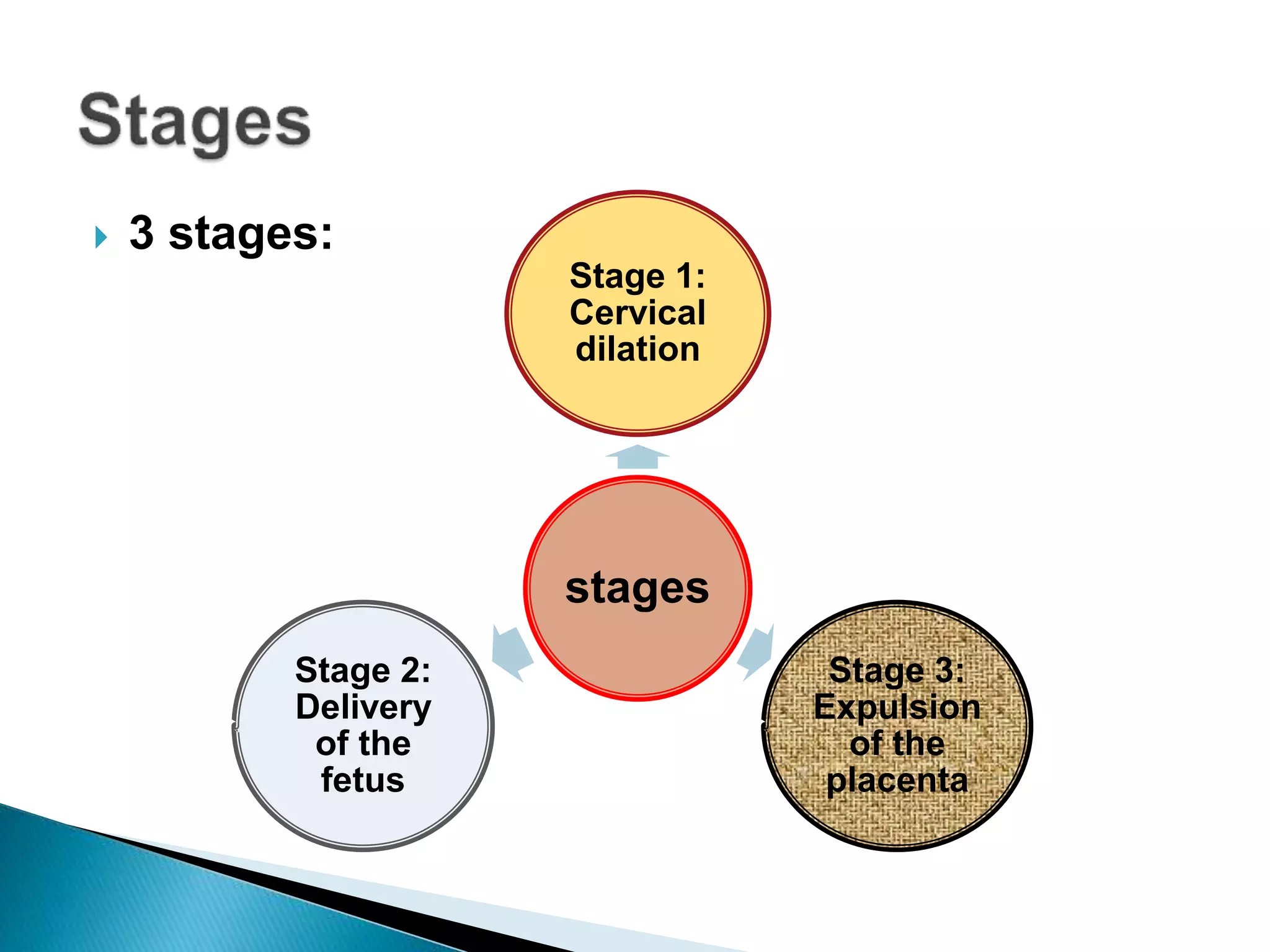 Stages of parturition in farm animals. | PPTX