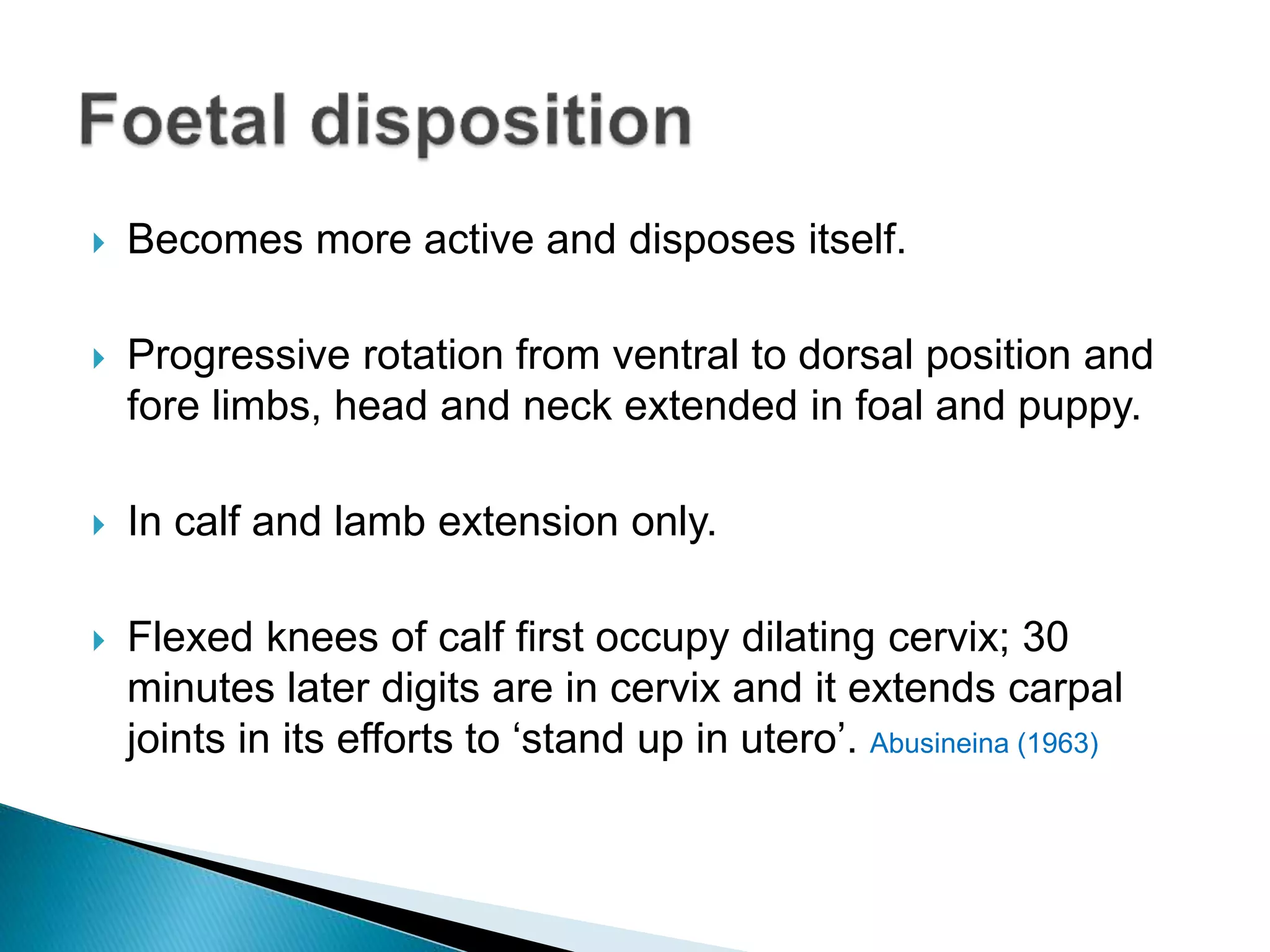 Stages of parturition in farm animals. | PPTX