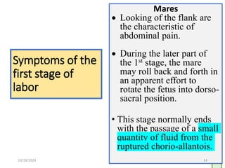 Presentation about STAGES OF PARTURITION.pdf