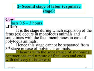 Presentation about STAGES OF PARTURITION.pdf
