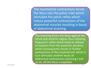 Presentation about STAGES OF PARTURITION.pdf