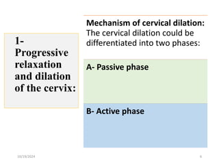 Presentation about STAGES OF PARTURITION.pdf