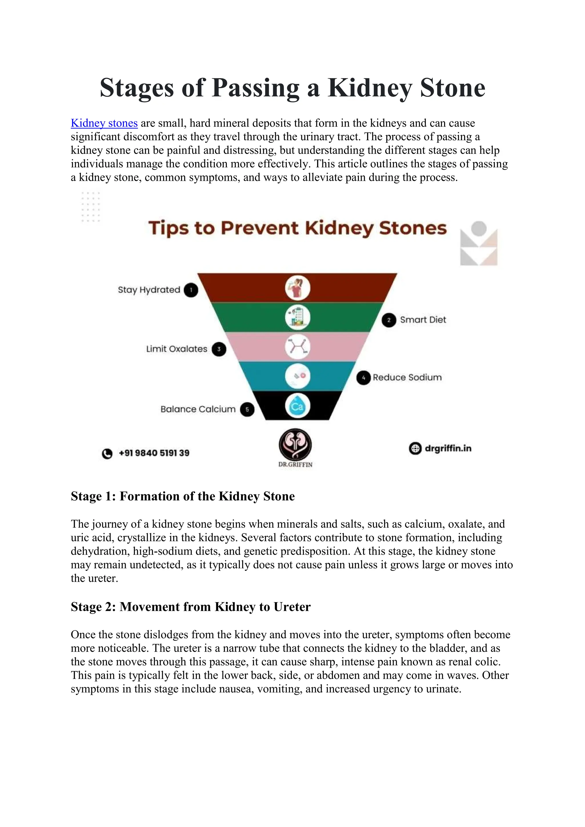 Stages of Passing a Kidney Stone.pdf.... | PDF