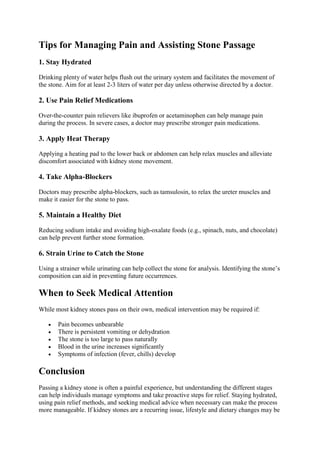 Stages of Passing a Kidney Stone.pdf.... | PDF