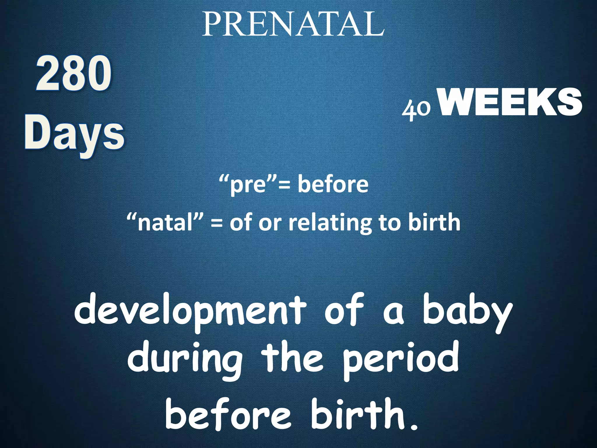 Stages of pregnancy | PPTX