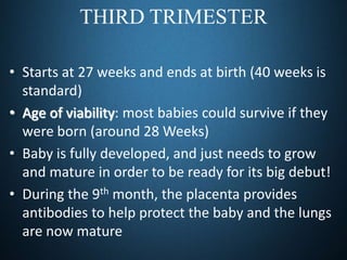 Stages of pregnancy | PPTX