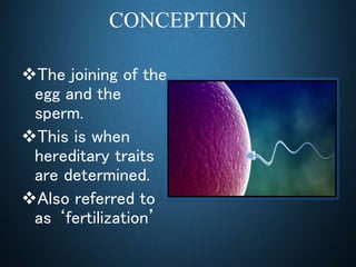 Stages of pregnancy | PPTX