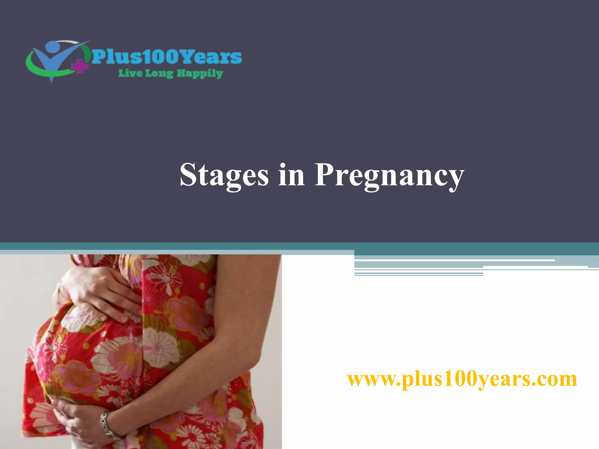 Stages of pregnancy month by month | PPTX