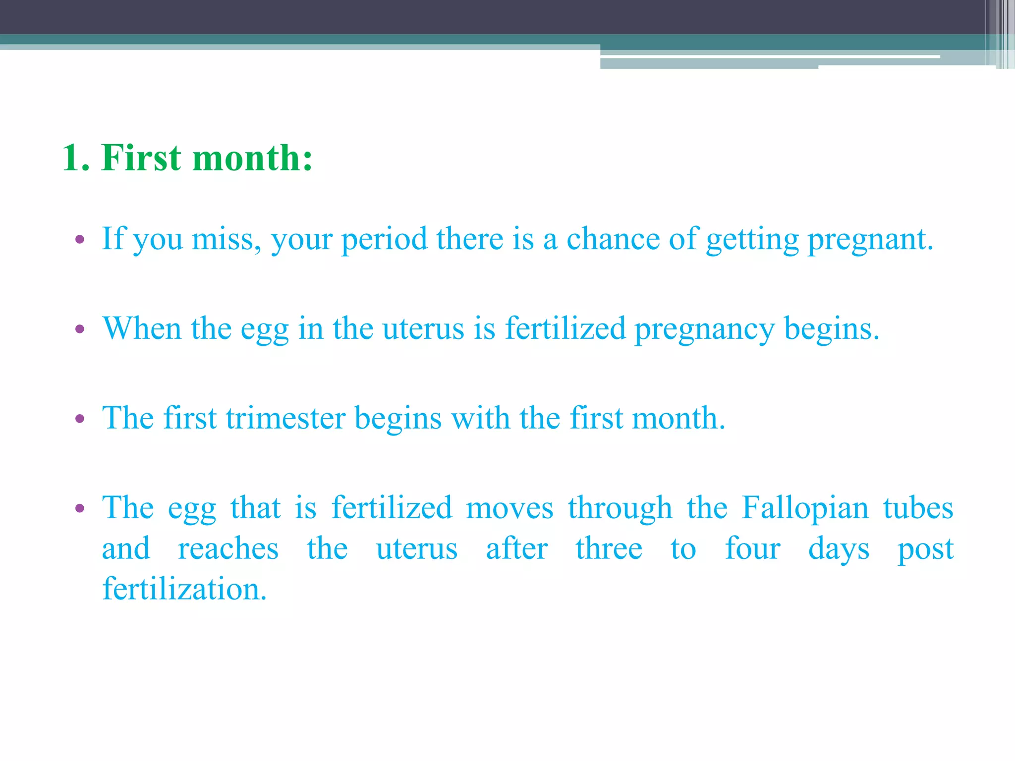 Stages of pregnancy month by month | PPTX