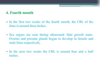 Stages of pregnancy month by month | PPTX