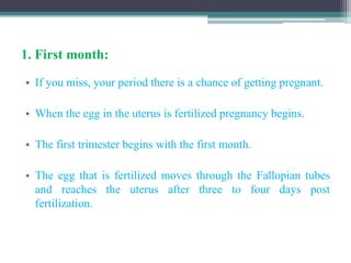 Stages of pregnancy month by month | PPTX