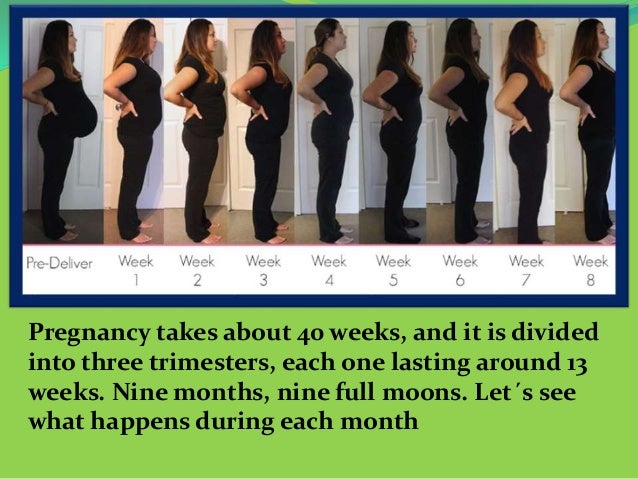 Each Month Of Pregnancy