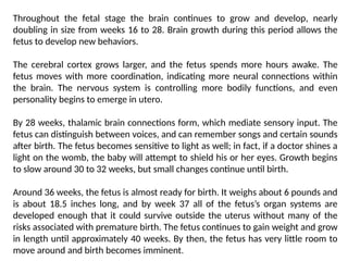 stages of prenatal development psychology | PPTX