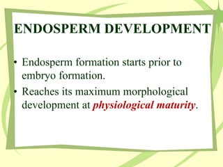 Stages of seed development | PPTX