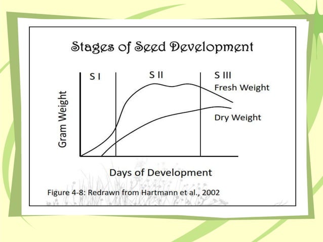 Stages of seed development | PPTX | Agriculture | Industries