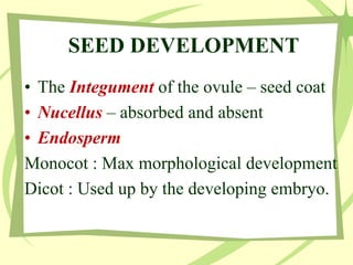 Stages of seed development | PPTX