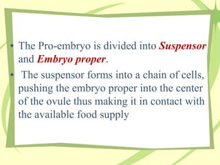 Stages of seed development | PPTX