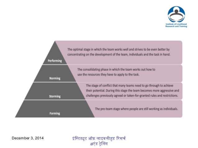 Stages of SHG Development